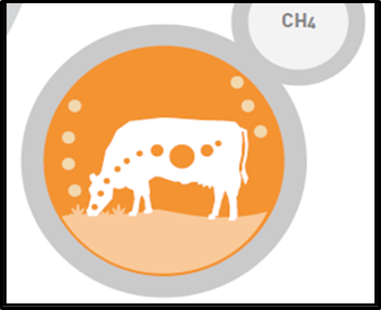 New website for the project to reduce enteric methane | Global Research ...