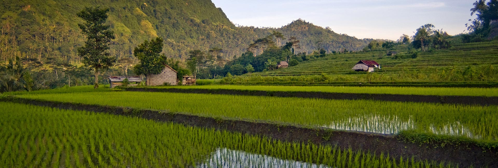 Collaborative Activities | Global Research Alliance