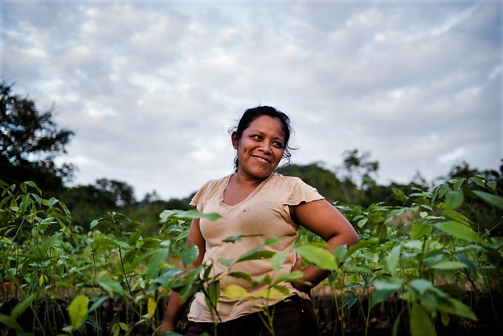 Launch of new Livelihoods Carbon Fund | Global Research Alliance