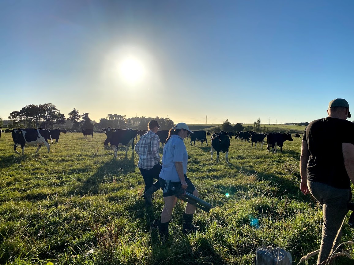 Reducing While Producing: Virtual NZ Farm Tour | Global Research Alliance