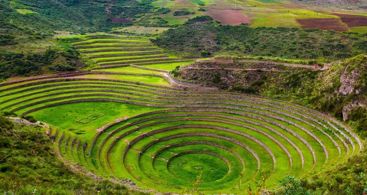 White Paper: “Circular Food Systems around the world: exploring ...