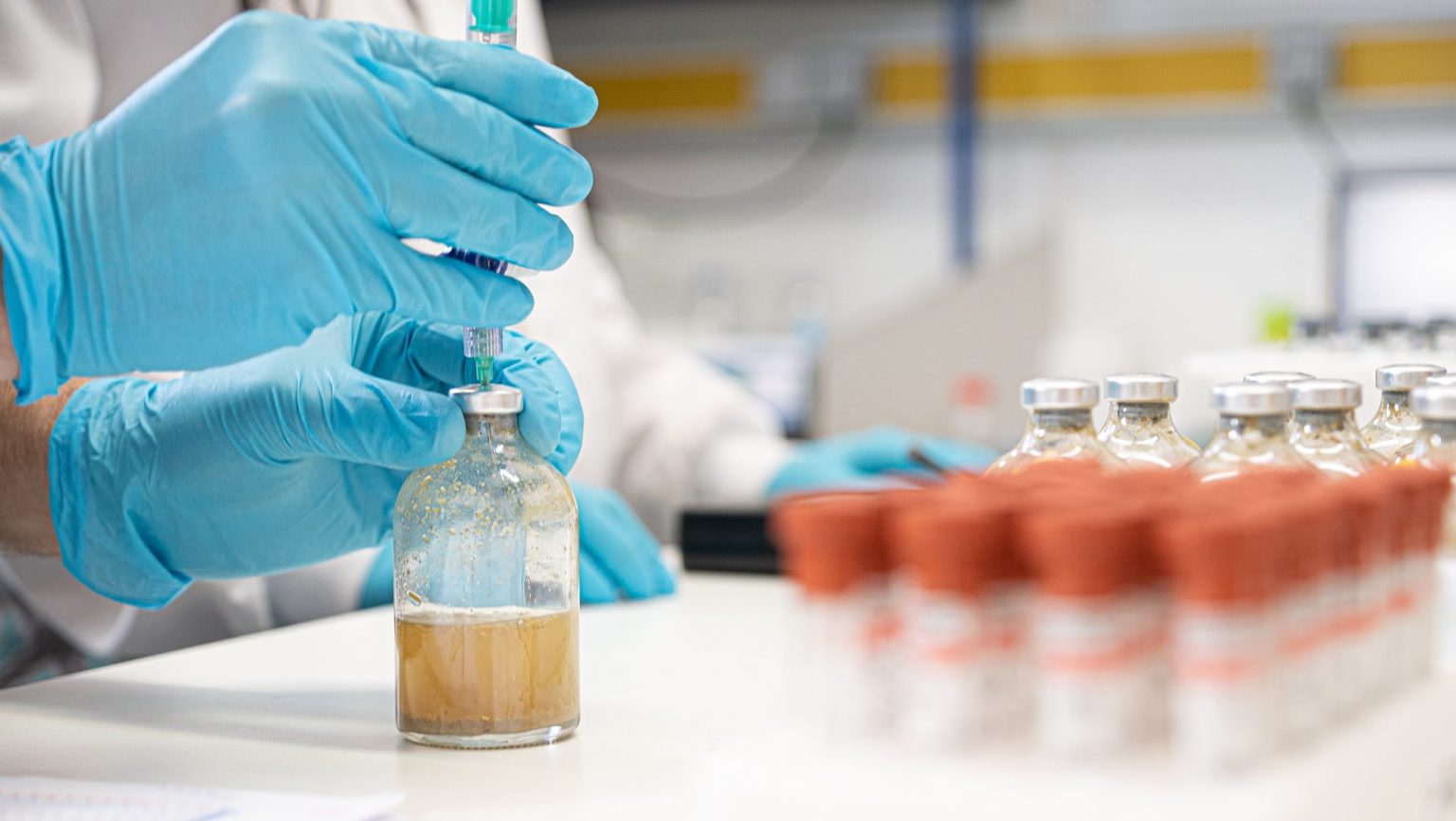 Feed additives to reduce methane | Global Research Alliance