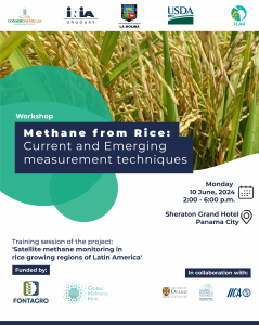 Methane from Rice: Current and Emerging Measurement TechniquesGlobal ...